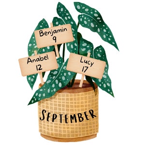 Plants Classroom Birthday Wall | PNG + PDF + Powerpoint | Editable ...