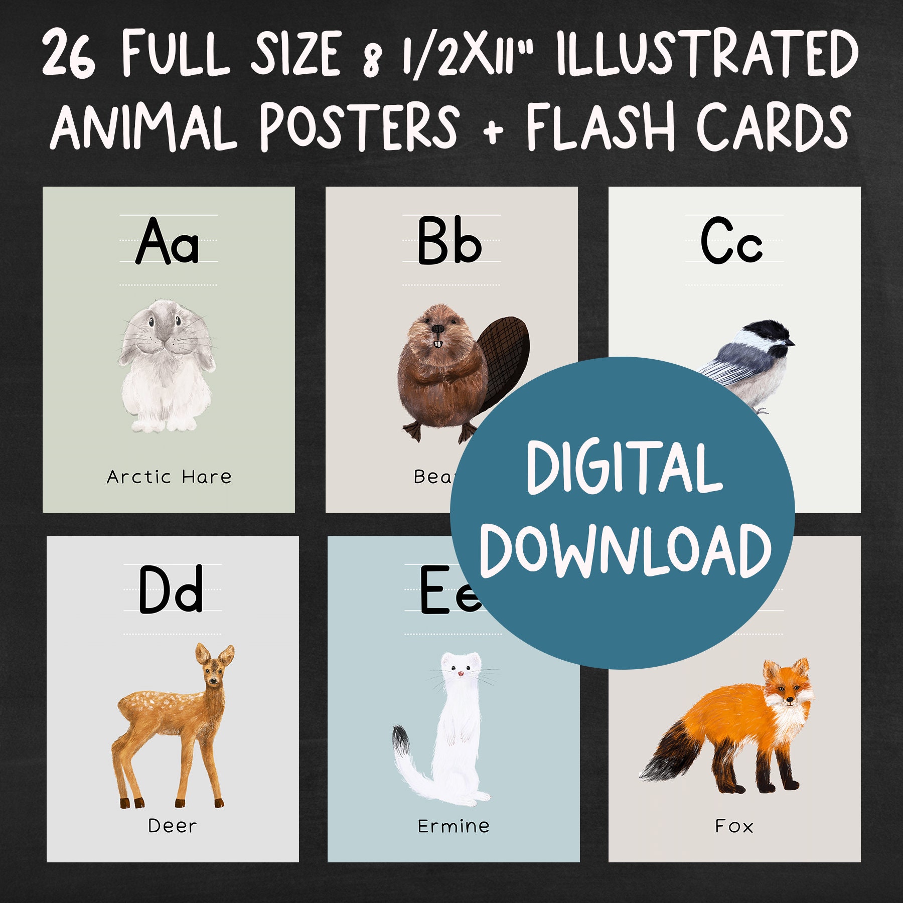 Illustrated Animal ABC Flash Cards | Montessori Nursery Decor (digital ...