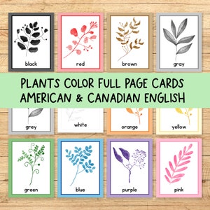 Plants Classroom Alphabet Posters Flashcards Poster PNG PDF Natural ...