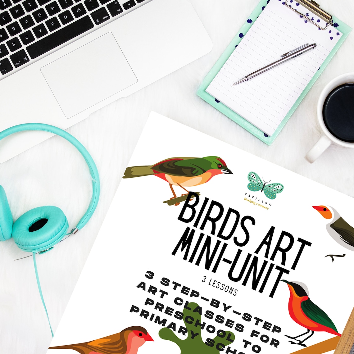 Birds Art Lessons Mini-unit 3 Art Lessons Step-by-step Full ...