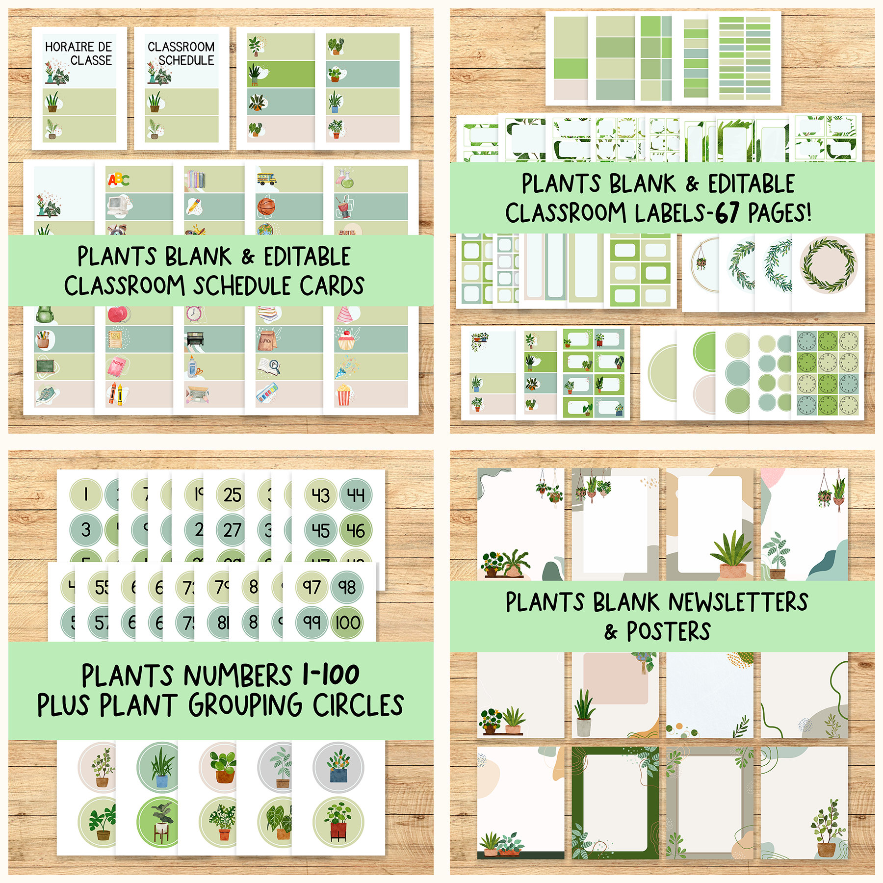 Plants Classroom Bundle PNG PDF Powerpoint Editable Natural Colors ...