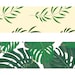 Plants Classroom Bulletin Board Border PNG Natural Colors Classroom ...