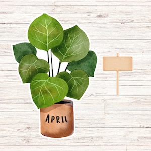 Plants Classroom Birthday Wall | PNG + PDF + Powerpoint | Editable ...