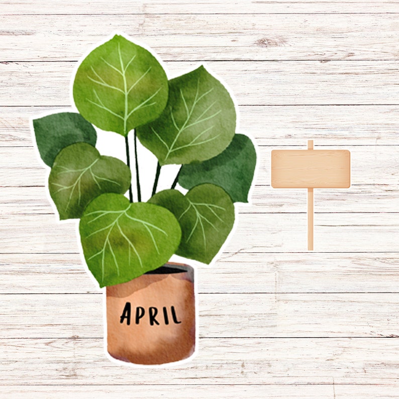 Plants Classroom Birthday Wall | PNG + PDF + Powerpoint | Editable ...