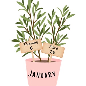 Plants Classroom Birthday Wall | PNG + PDF + Powerpoint | Editable ...