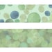 Plants Classroom Bulletin Board Border | PNG | Natural Colors Classroom ...