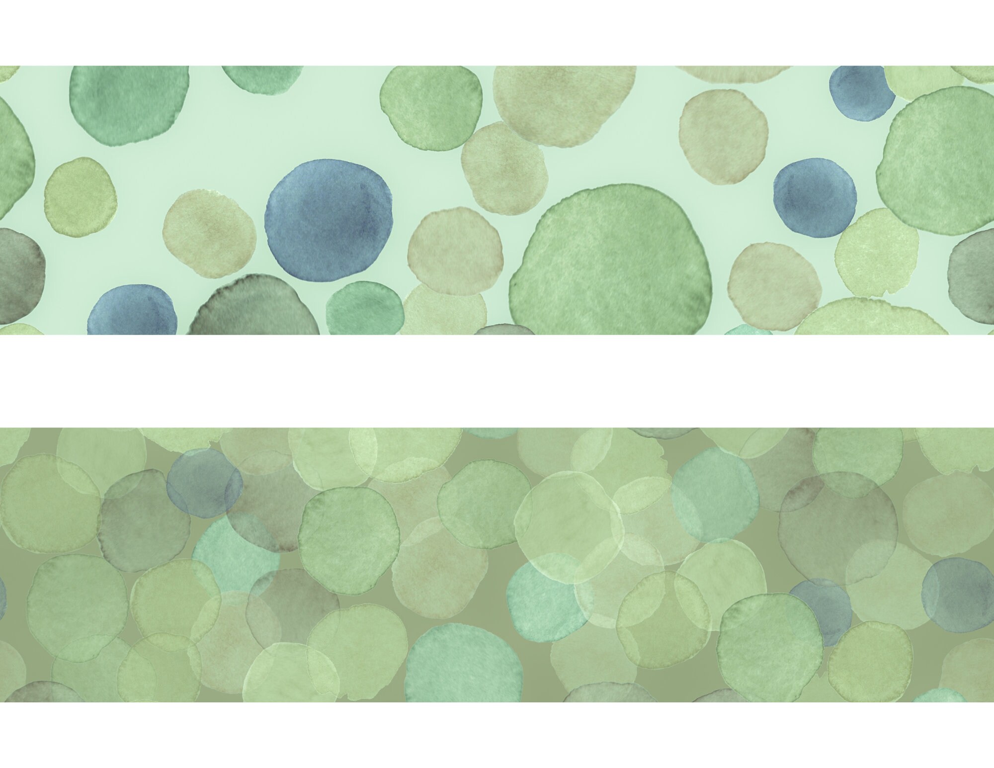 Plants Classroom Bulletin Board Border | PNG | Natural Colors Classroom ...