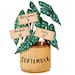 Plant Classroom Birthday Display | French Decor (PNG, PDF, Powerpoint ...