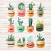 Cactus Classroom Birthday Wall | PNG + PDF | Natural Colors Classroom ...
