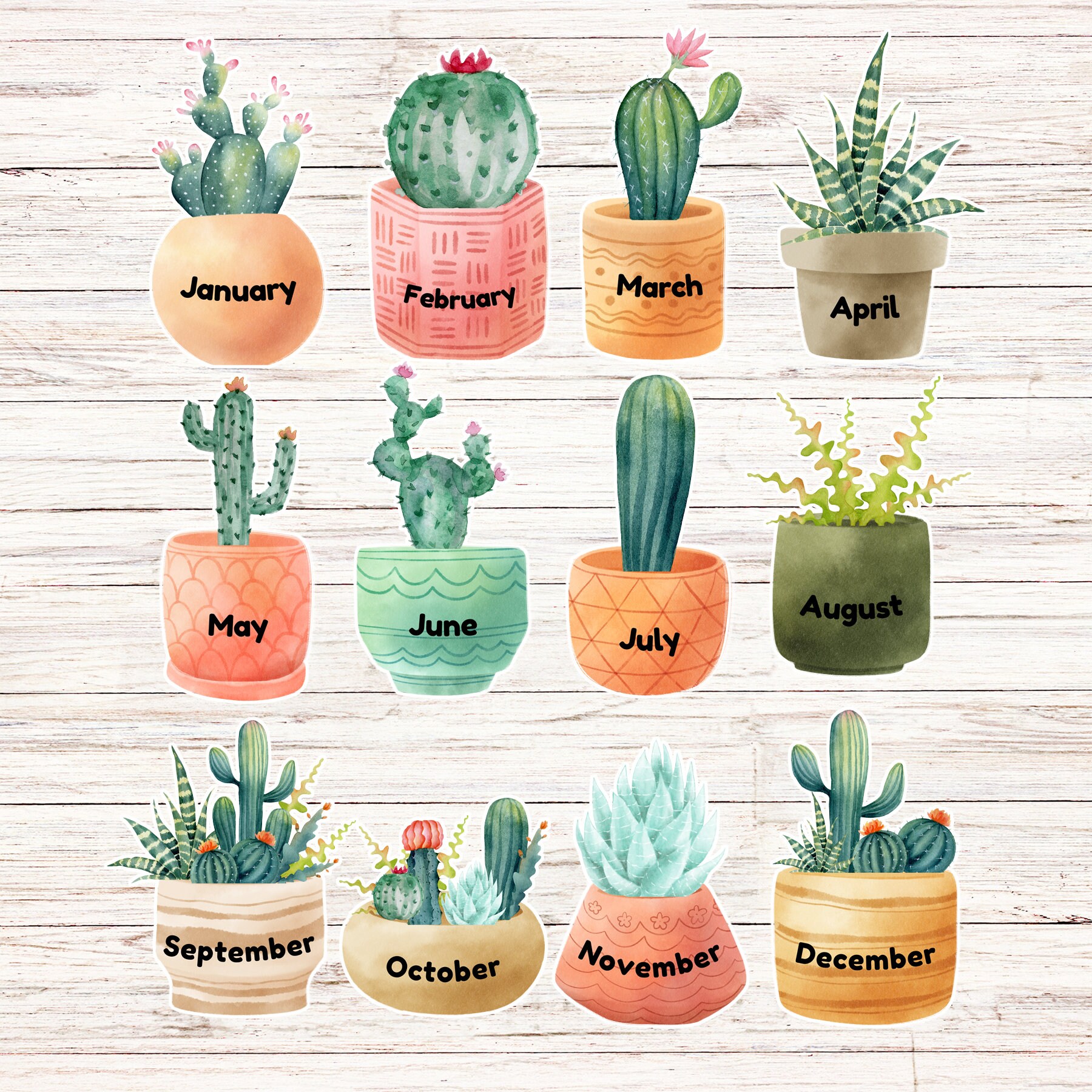 Cactus Classroom Birthday Wall | PNG + PDF | Natural Colors Classroom ...