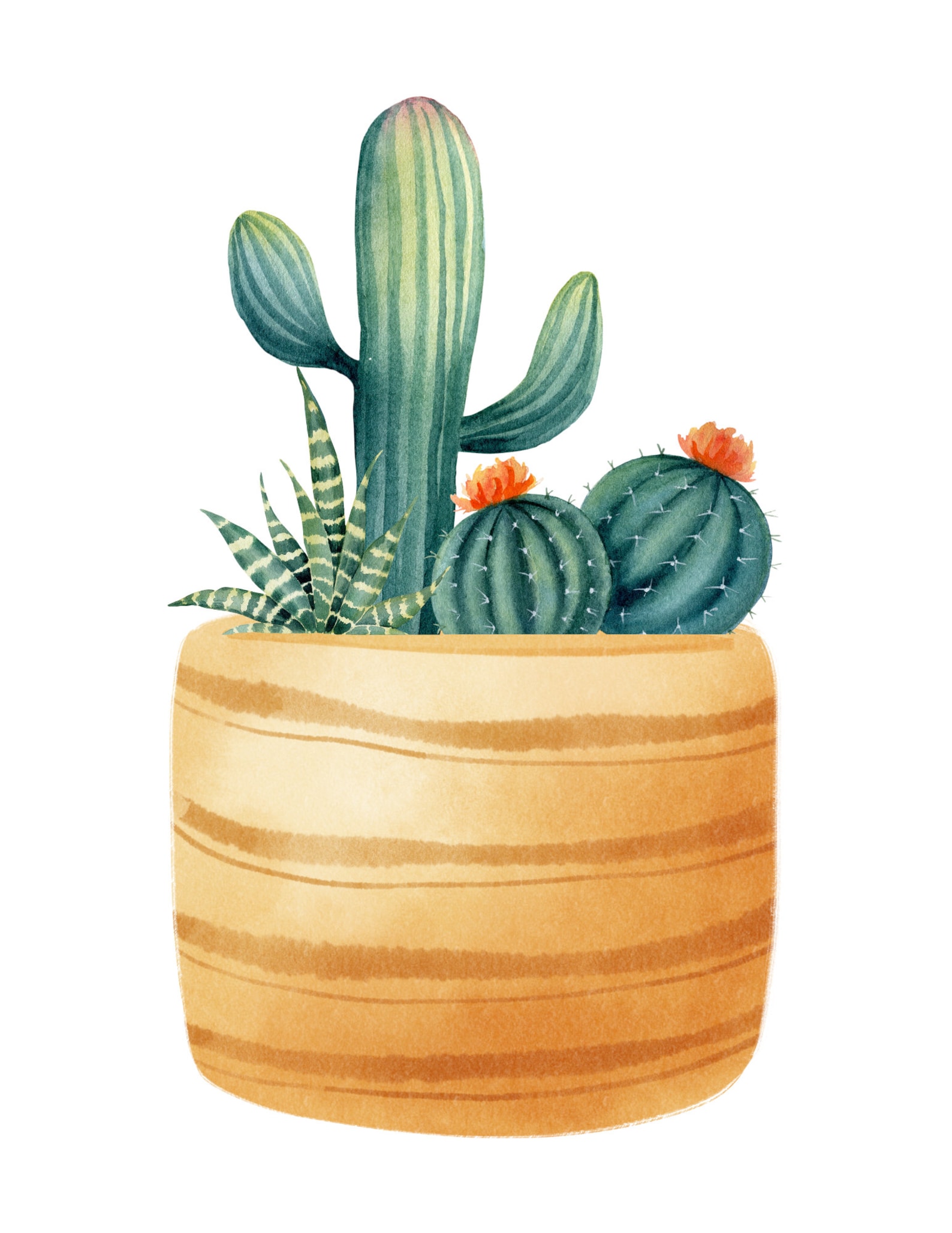 Cactus Classroom Birthday Wall | Boho Decor (PNG + PDF) - Etsy