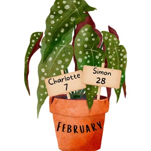 Plants Classroom Birthday Wall | PNG + PDF + Powerpoint | Editable ...