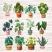 Plant Classroom Birthday Display | French Decor (PNG, PDF, Powerpoint ...