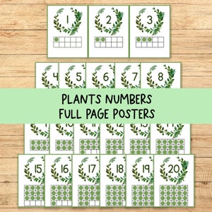 Plants Classroom Number Tally Posters PNG PDF Natural Colors Classroom ...