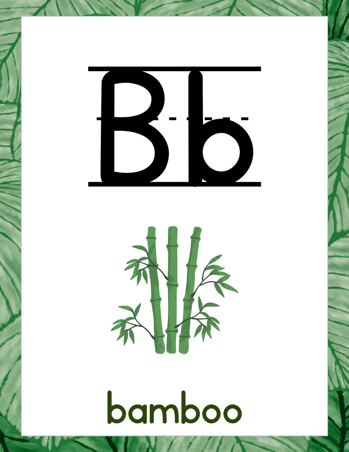 Plants Classroom Alphabet Posters Flashcards Poster PNG PDF Natural ...