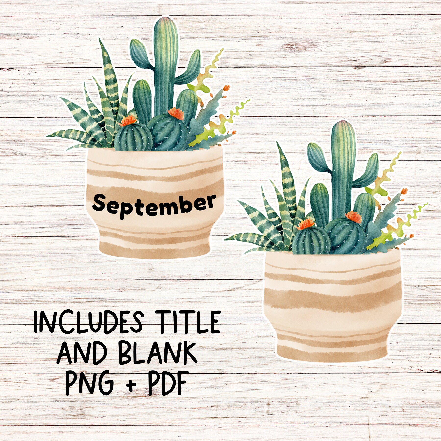 Cactus Classroom Birthday Wall | PNG + PDF | Natural Colors Classroom ...