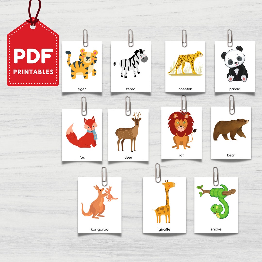 22 Montessori Wild Animals Flashcards - Etsy