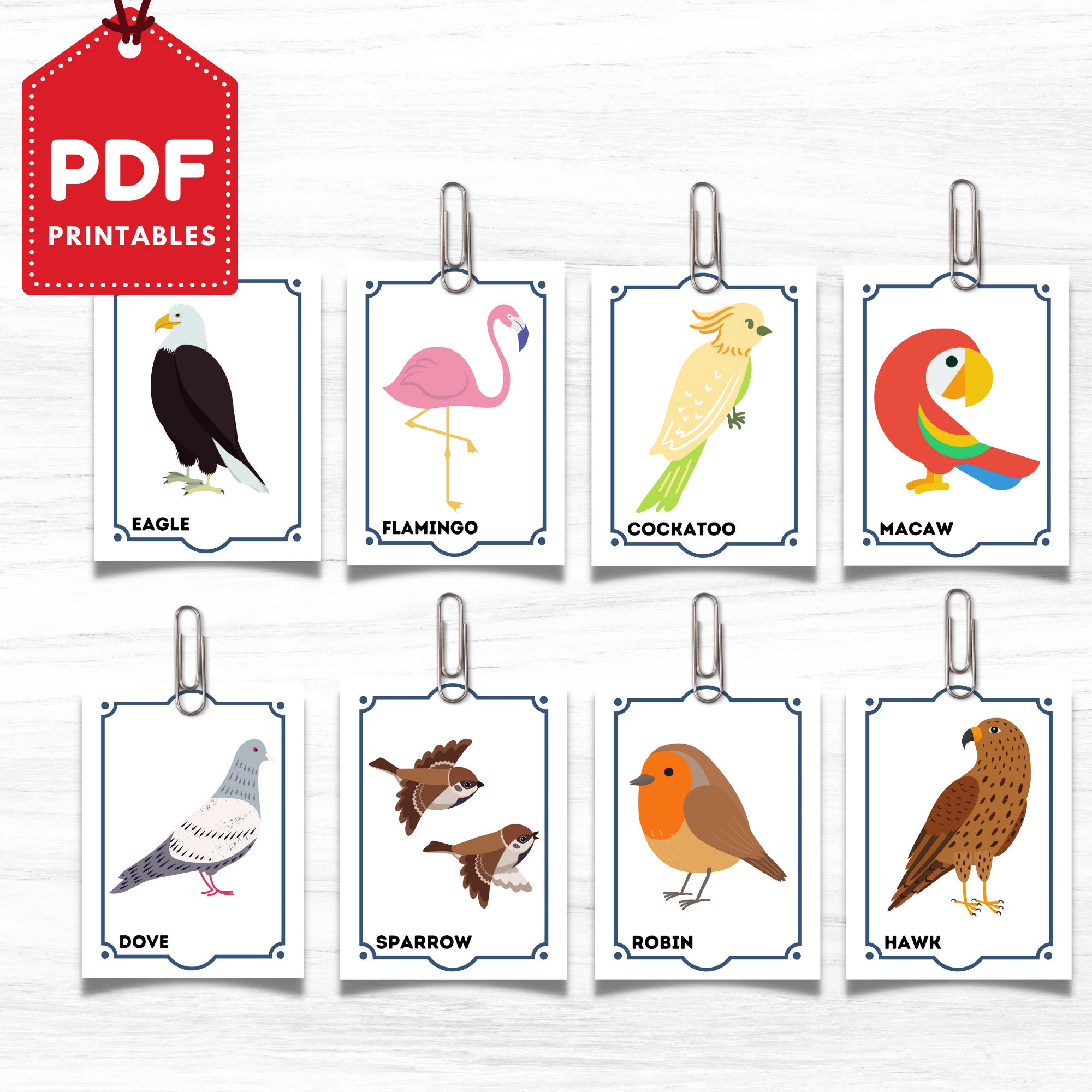 Bird Flashcard Black And White at Samuel Galan blog