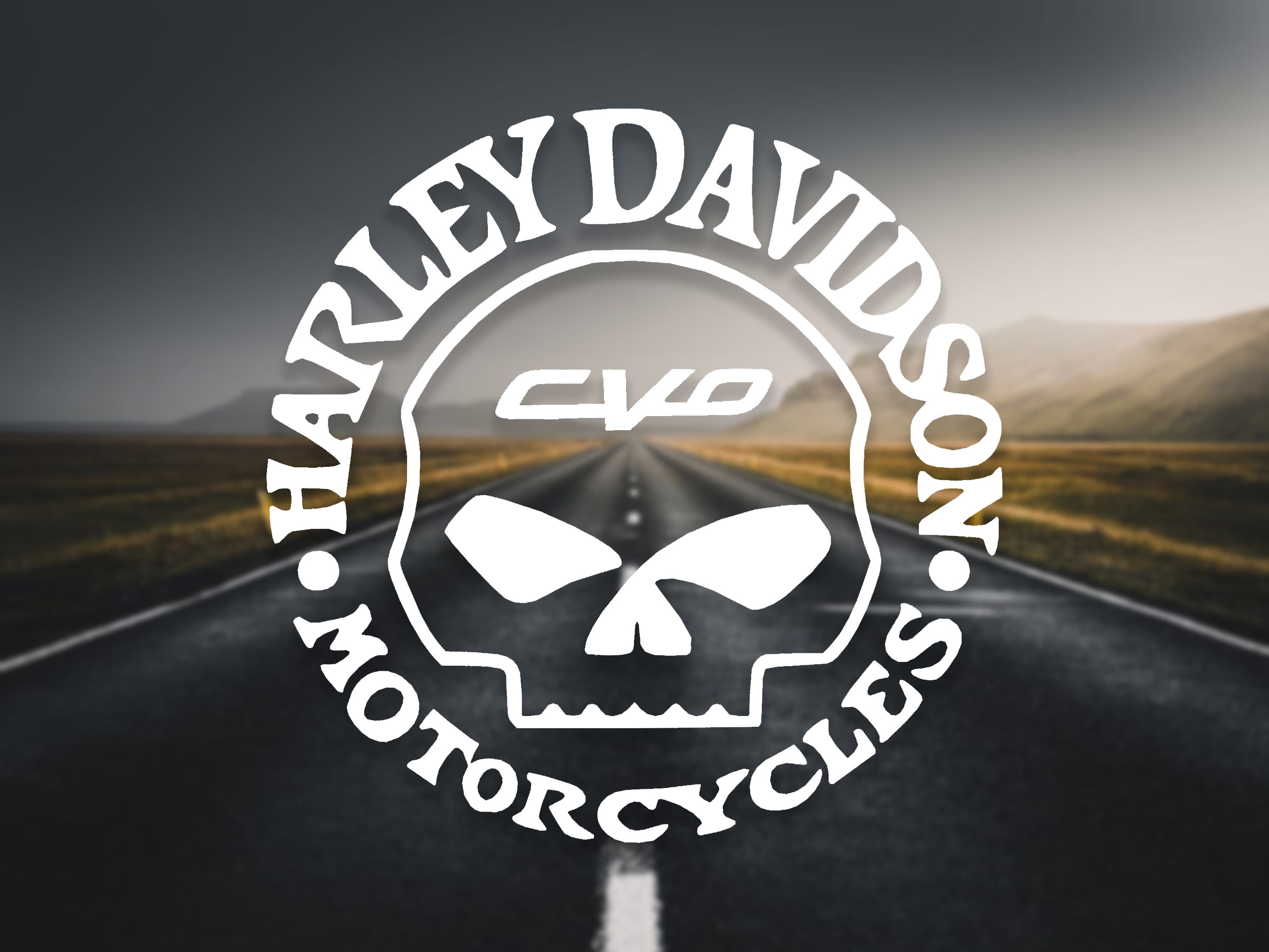 CVO Willie G Skull Decal Harley Davidson CVO Willie G Decal - Etsy