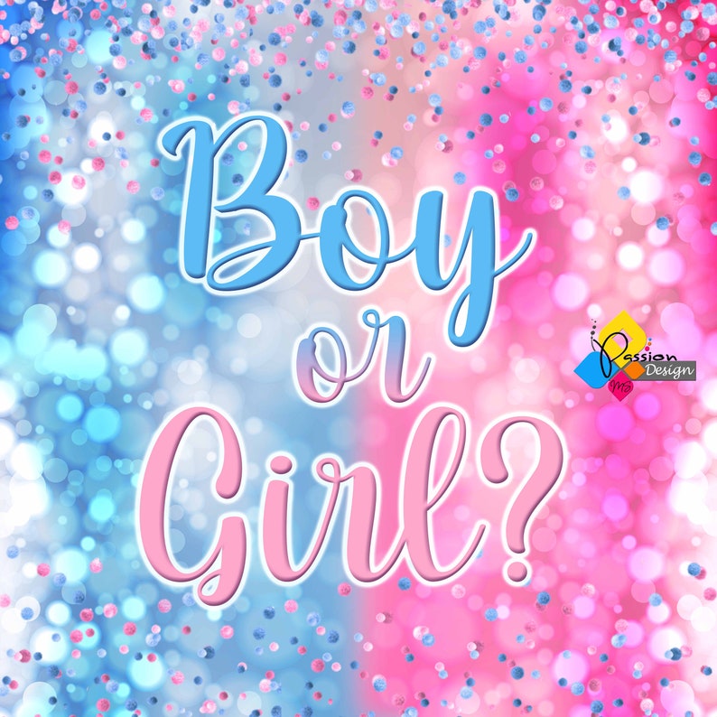 Printable BOY or GIRL GENDER Reveal Backdrop. Boy or Girl / He - Etsy