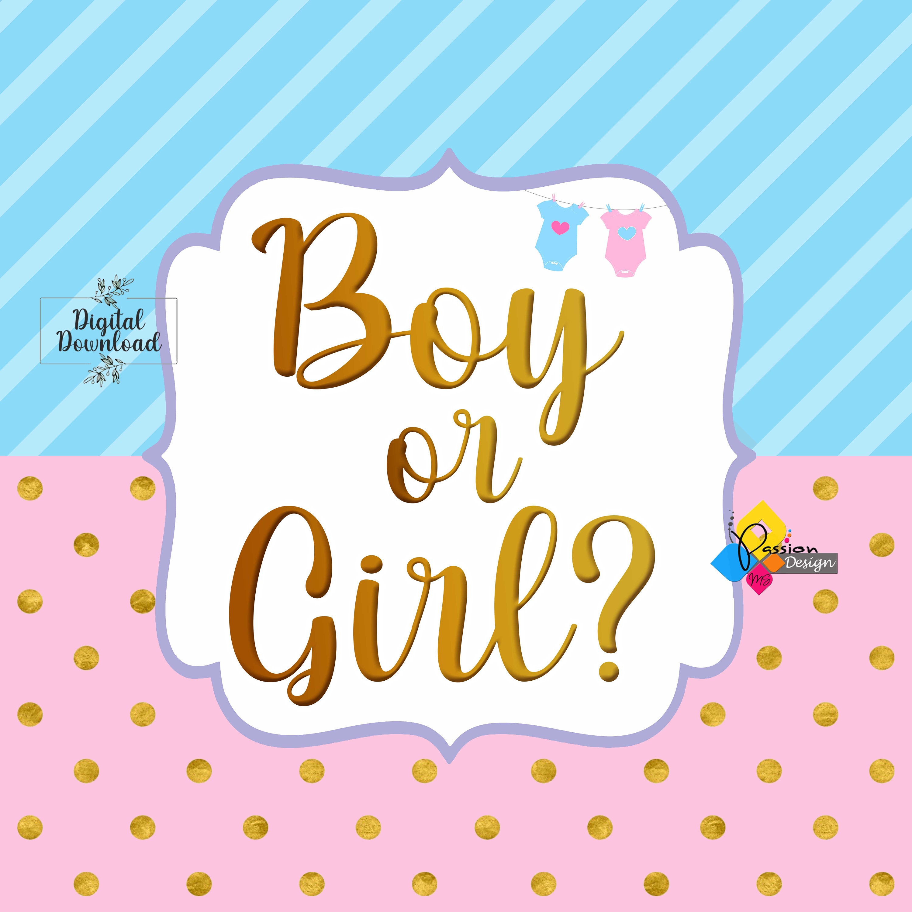 Printable Boy or Girl GENDER REVEAL Backdrop. He or She Party - Etsy Canada