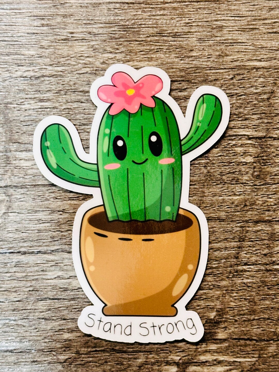 Cactus/houseplant Sticker | Individual | Waterproof Stickers ...