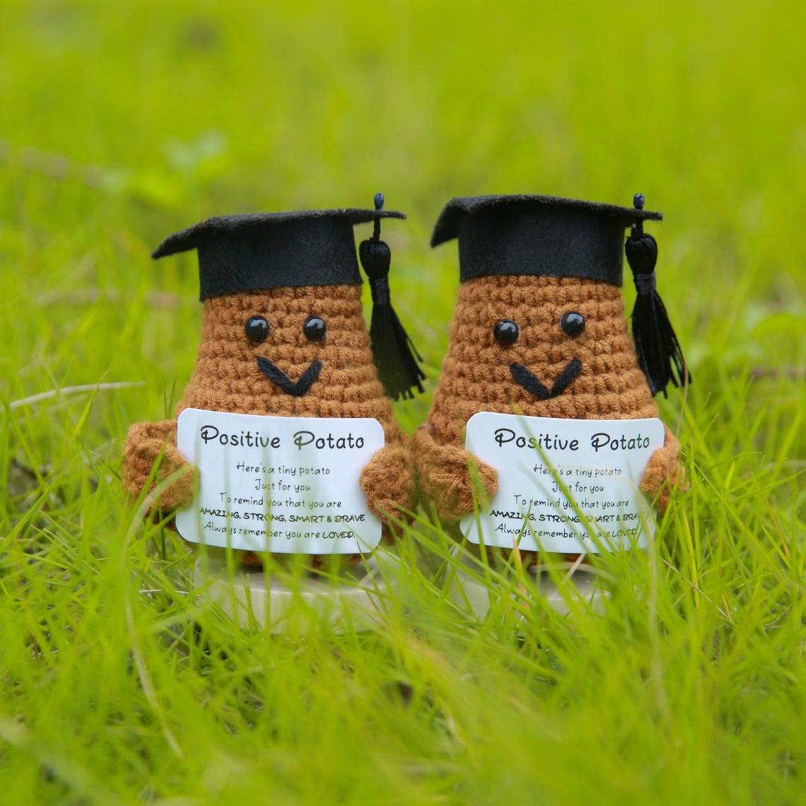 Crochet Pickle Wearing Graduation Tassel Hat ,graduation Gift for ...