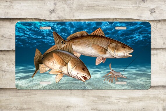 Front License Plate Redfish Vanity Plate Custom License | Etsy