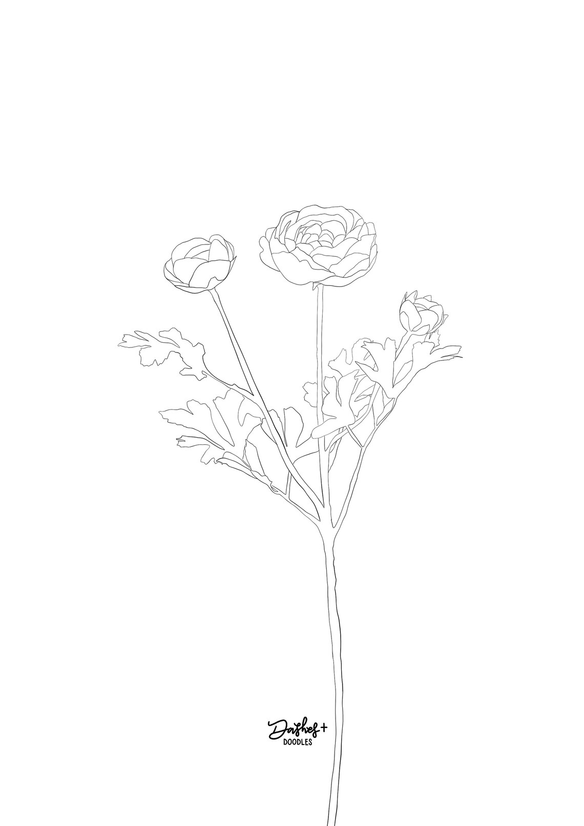 Ranunculus Line Art Botanical Line Art Floral Wall Art Ranunculus ...