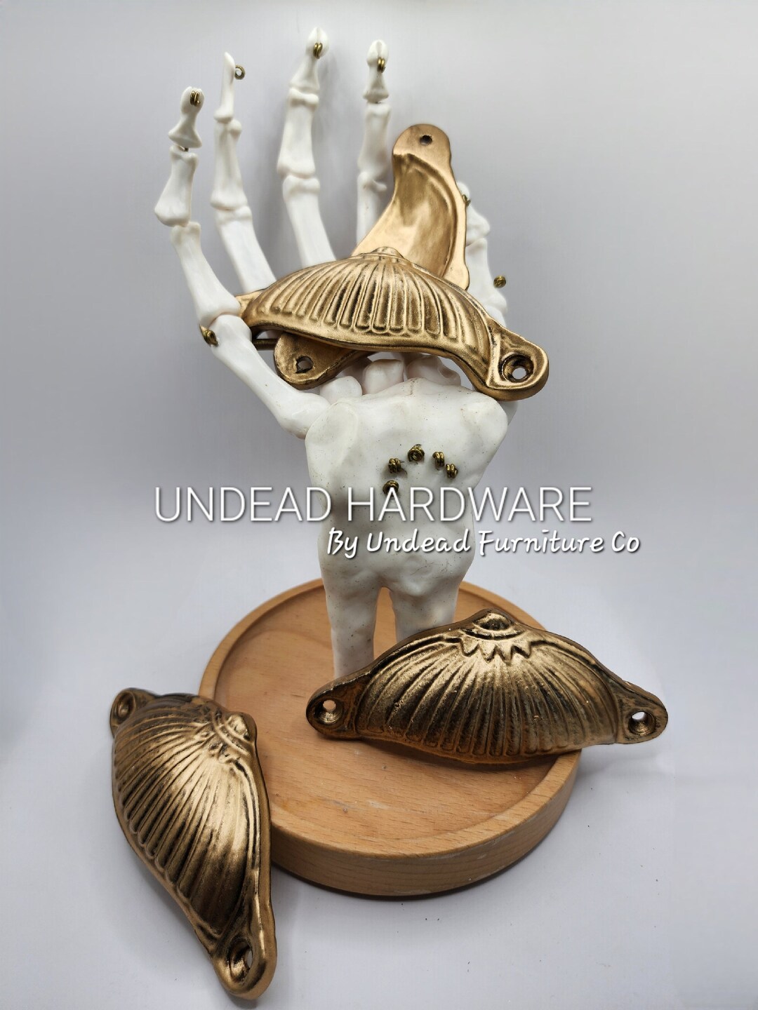 Golden Shell - Etsy