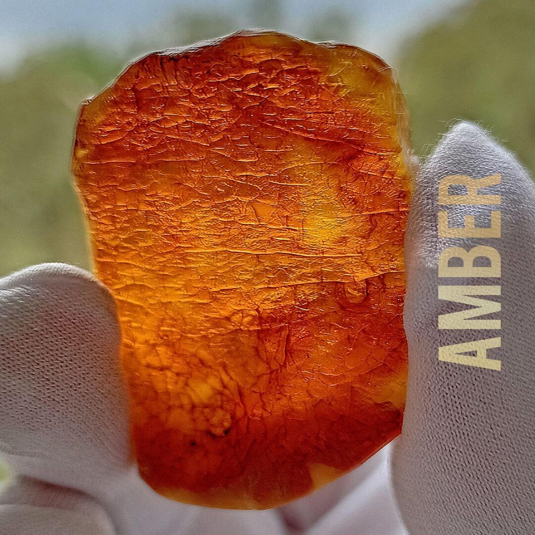 Pine Trees AMBER STONE, Natural Amber Piece, Original Amber Pendant ...