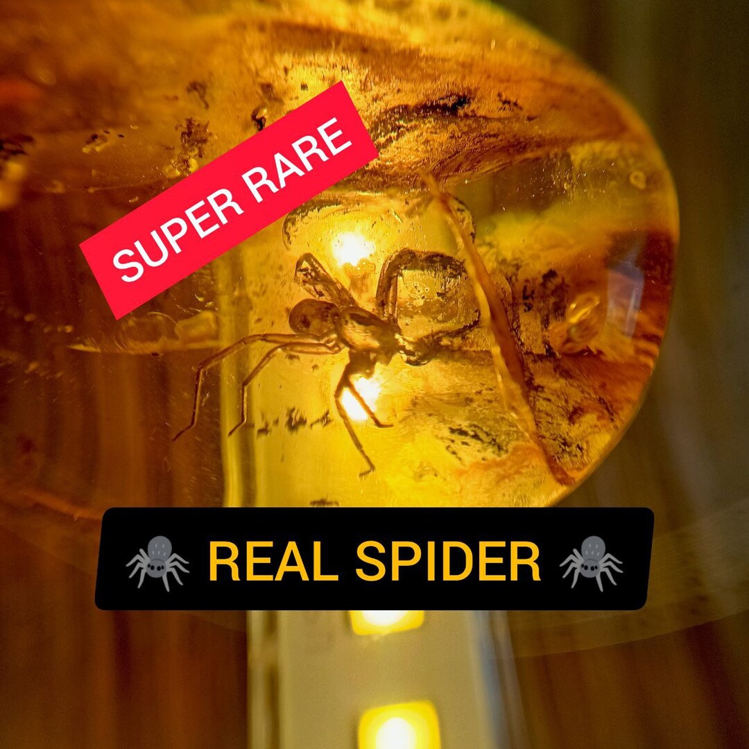 Very RARE Amber Pendant With SPIDER Inside, Amber With Inclusions ...