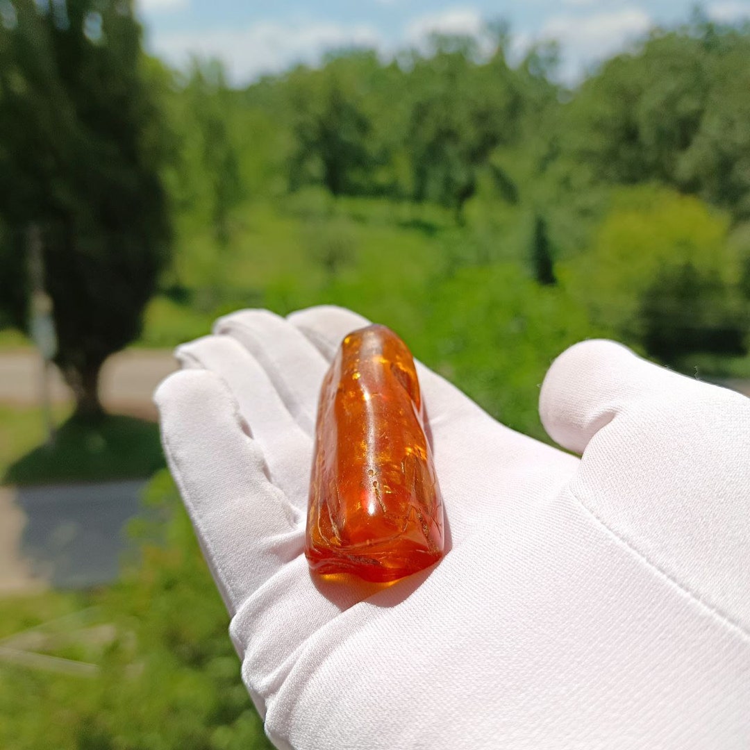 AMBER With INSECT, Natural Amber Stone With MIDGE Inside, Old Amber ...