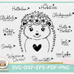 Plotterdatei Herbst Igel SVG, Plotterdatei Igel, Laserdatei Igel, Herbst Sprüche, Igel Outline ...
