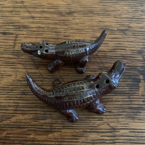 Set of Collectible Florida Alligator Salt and Pepper Shakers - Etsy