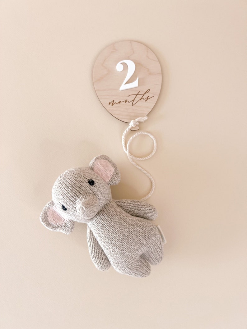 Balloon Milestone Markers Baby Monthly Milestone Signs - Etsy