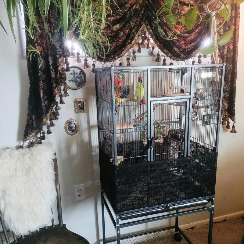 Aesthetic Bird Cages - Etsy