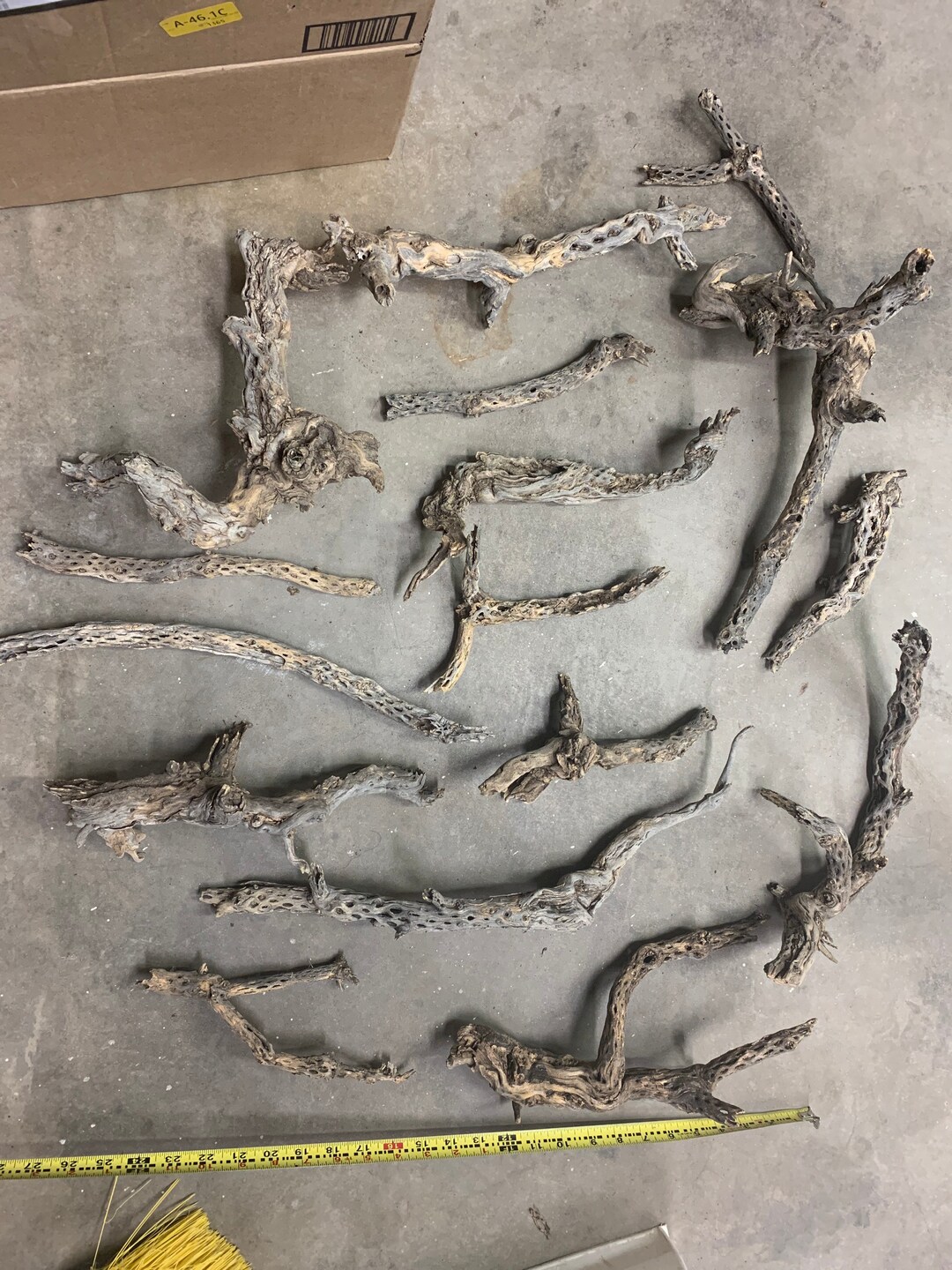 16 Medium & Long Cholla Skeletons! (@9-19inches) - Etsy