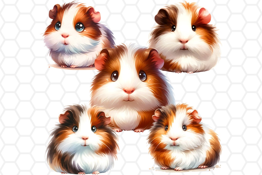 Cute Guinea Pig Png Files for Sublimation, Guinea Pig Clipart ...