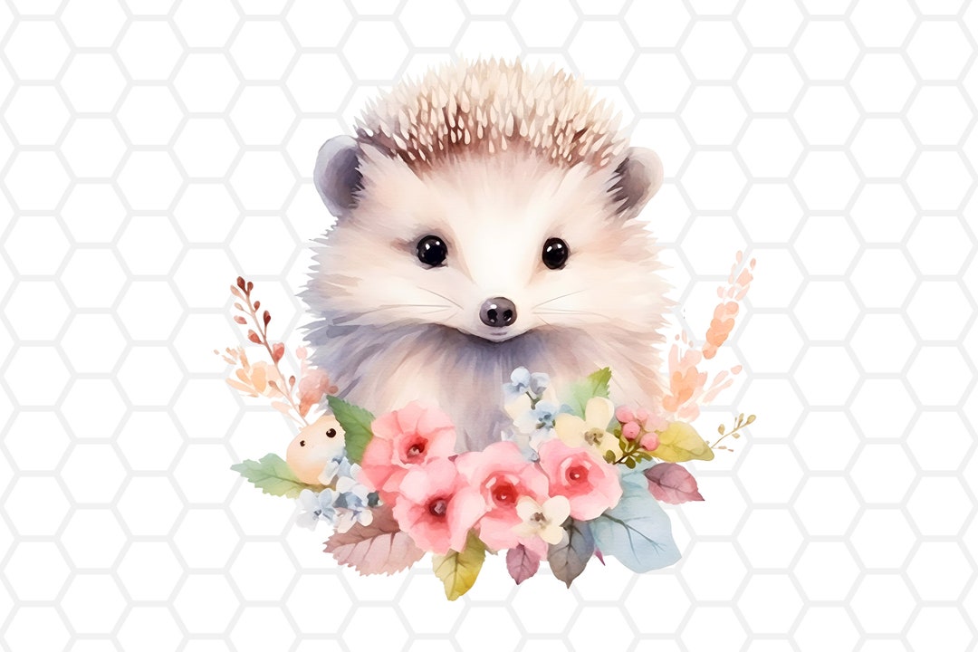 Watercolor Hedgehog Png File for Sublimation, Hedgehog Clipart ...