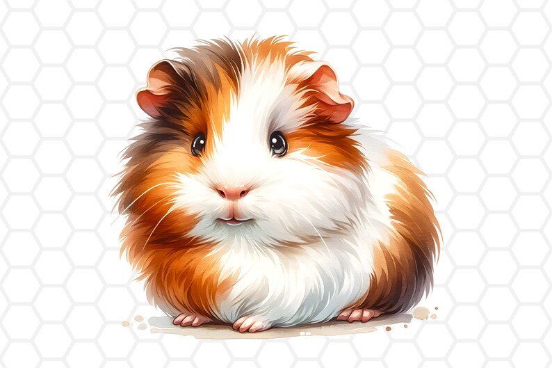 Cute Guinea Pig Png Files for Sublimation, Guinea Pig Clipart ...