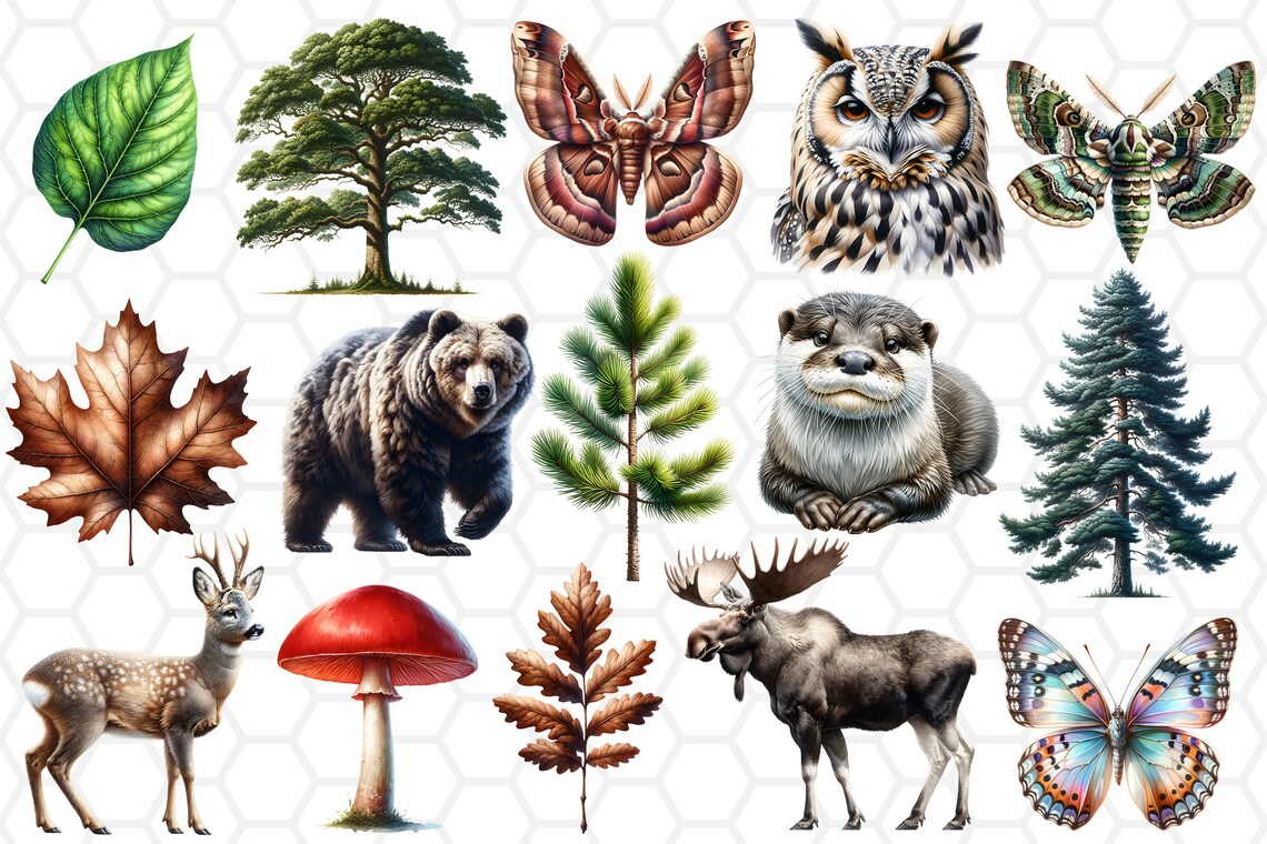 Watercolor Woodland Animal Clipart: 46 Forest PNG Designs (digital ...