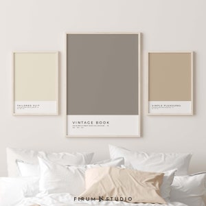 Neutral Colors Set, 3 Piece Wall Art, Colour Block Art Set, Light ...
