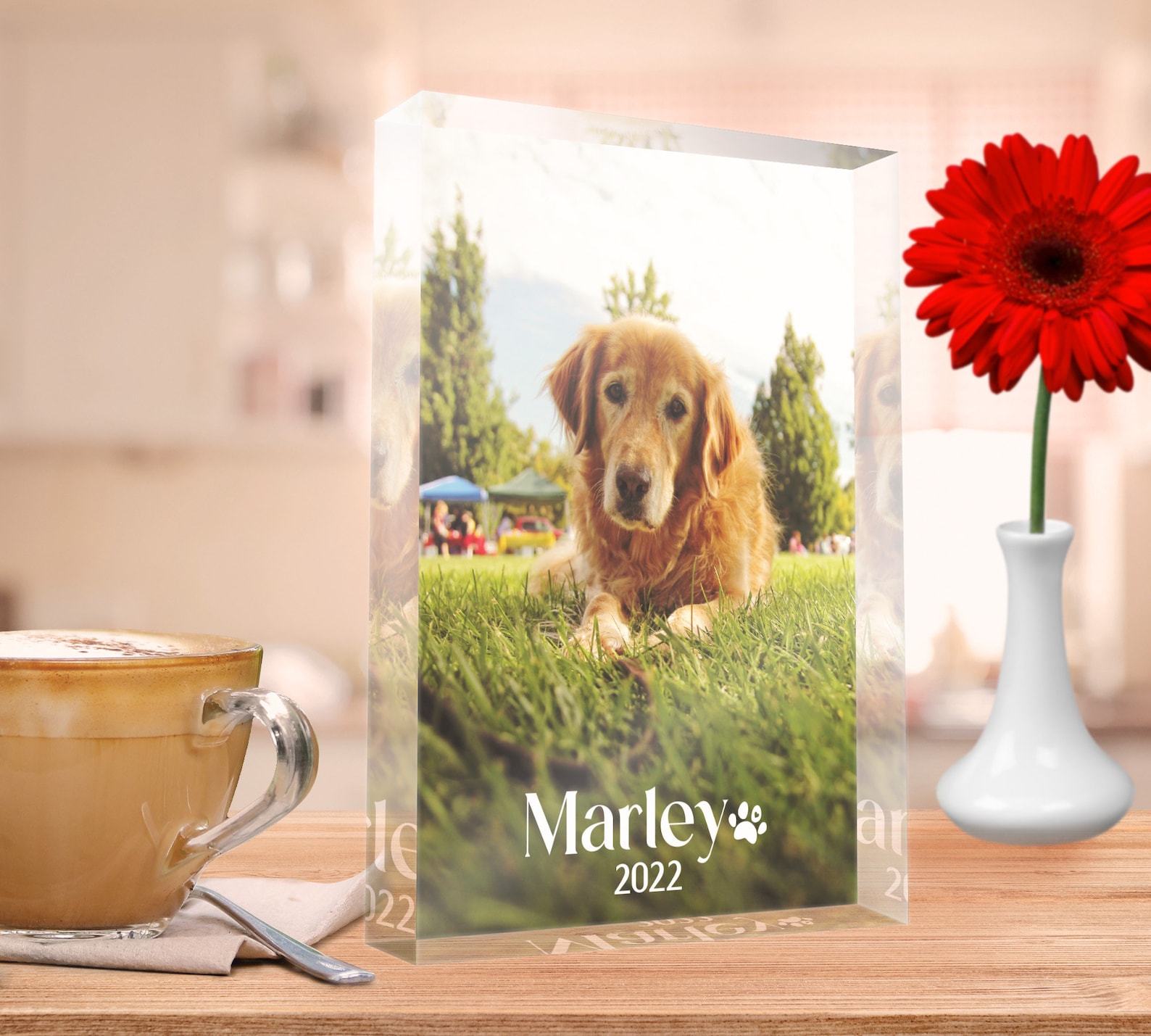 Custom Acrylic Photo Plate, Custom Photo Gift Ideas, Photo Gift Ideas ...