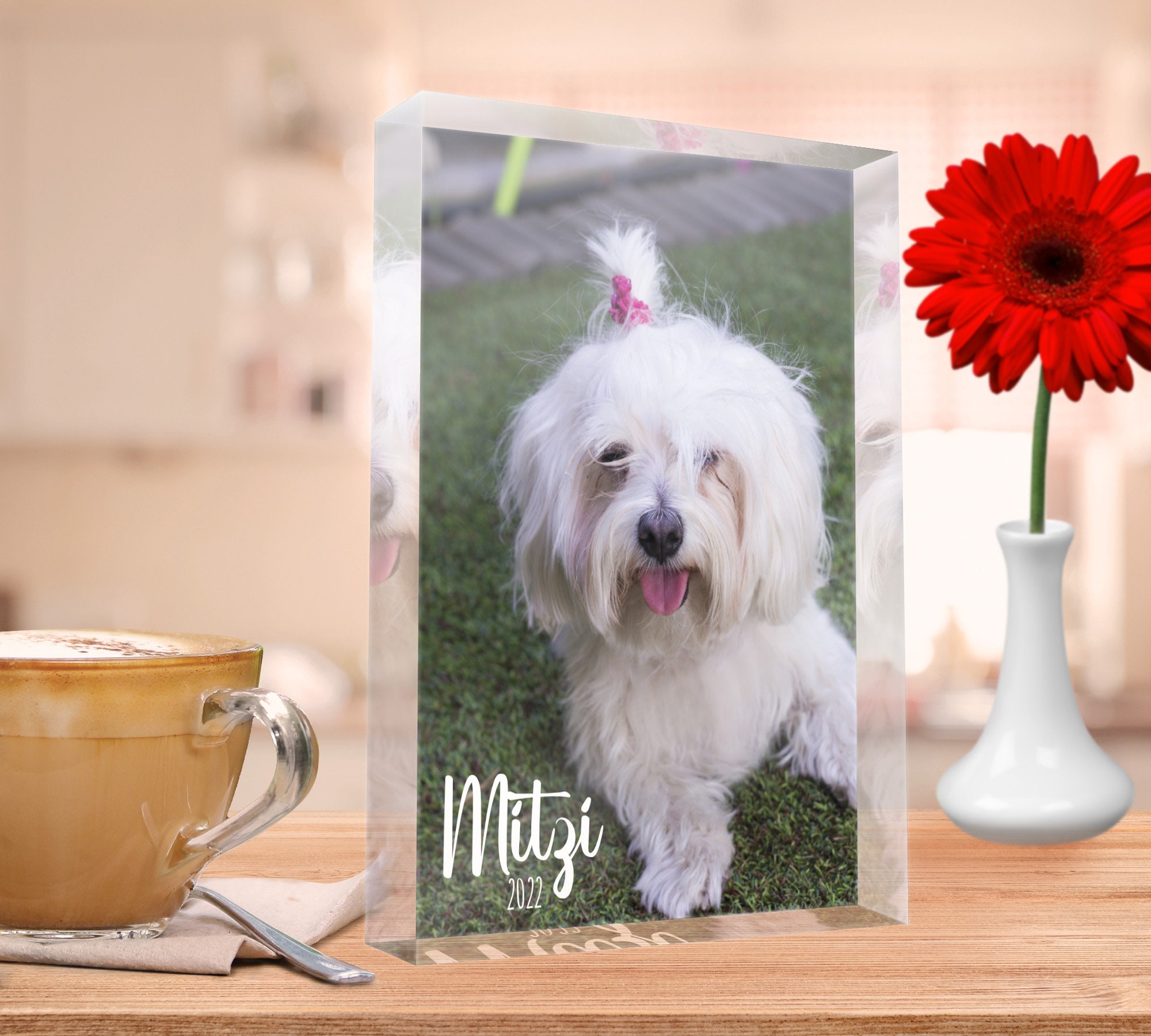 Custom Acrylic Photo Plate Custom Photo Gift Ideas Photo - Etsy