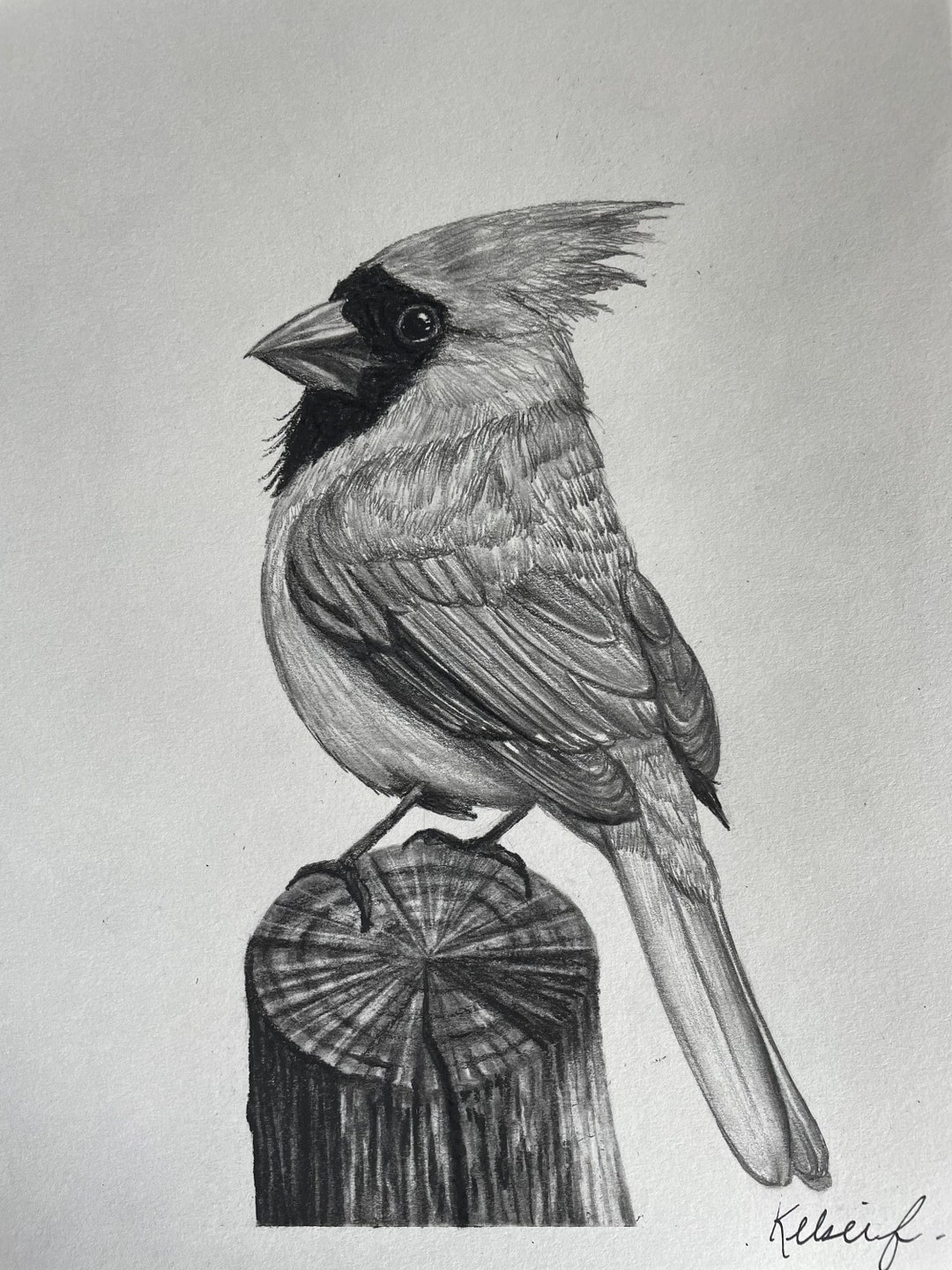 Cardinal Print - Etsy