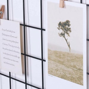 Metal Wire Wall Hanging Grid Panels Multifunctional Organiser for Photo ...