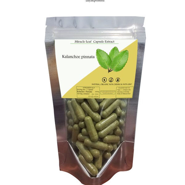 Miracle Leaf Plant - Etsy