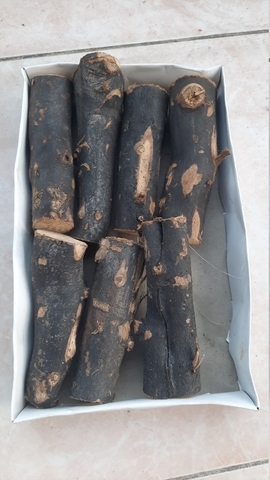 Black Tongkat Ali Roots Wildcrafted From Borneo Island - Etsy