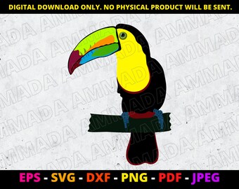Toucan Svg - Etsy